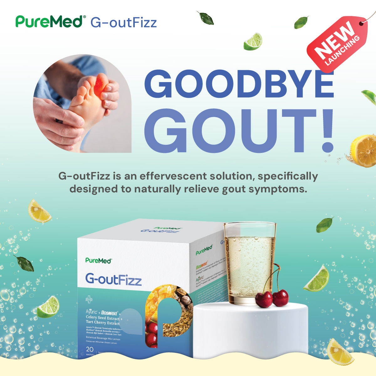 PureMed GoutFizz Natural Uric Acid and Gout Solution Supplement (20 ...