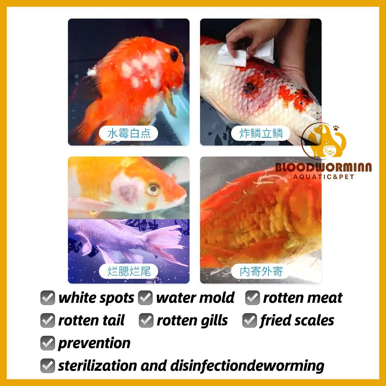 Voonline β6 Methylene Blue Fish Medicine Parasites Water Treatment for ...