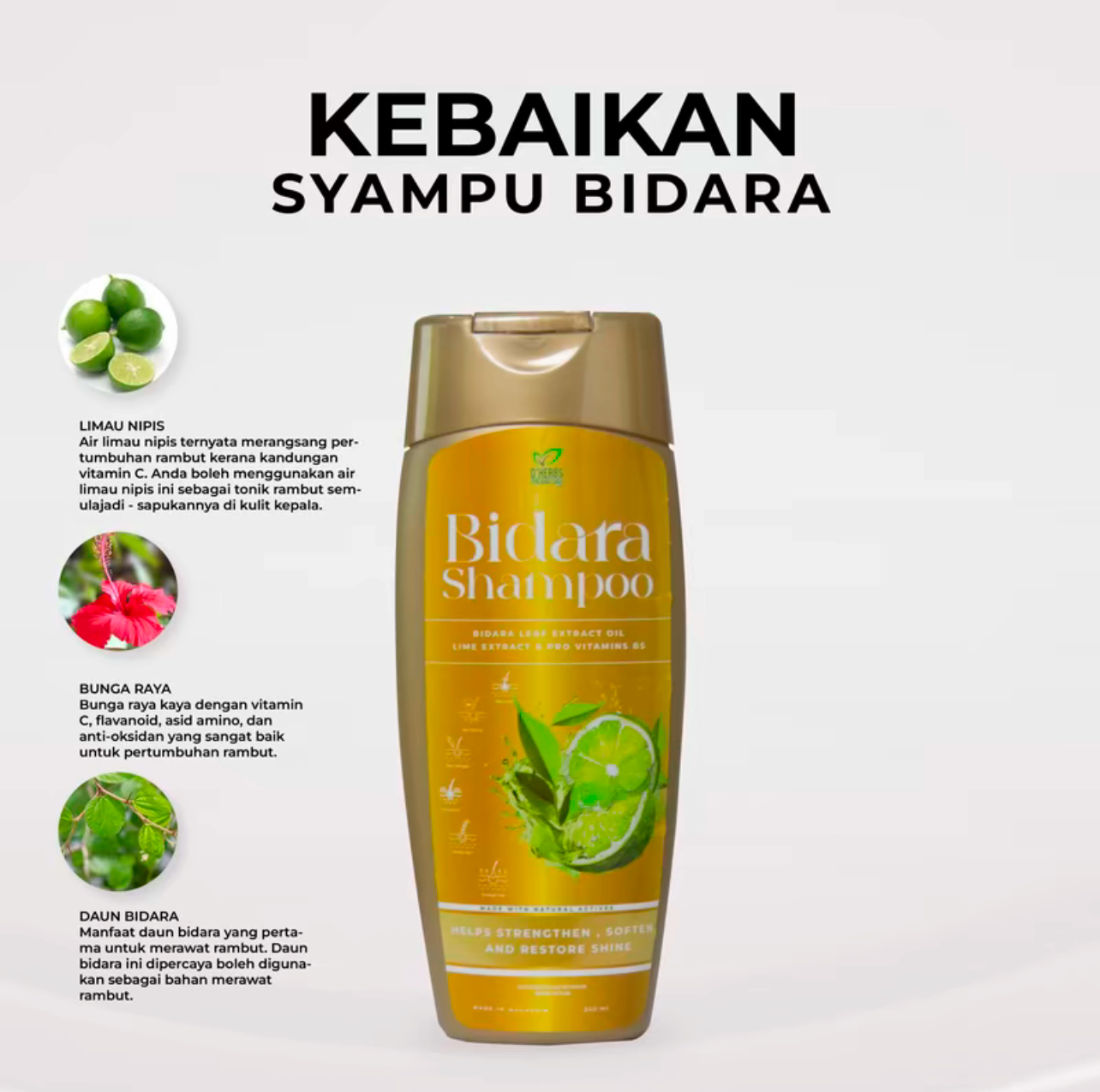 DHERBS SET JIMAT MIX BIDARA (Shampo + Mandian + Balsem Bidara) | Shopee ...