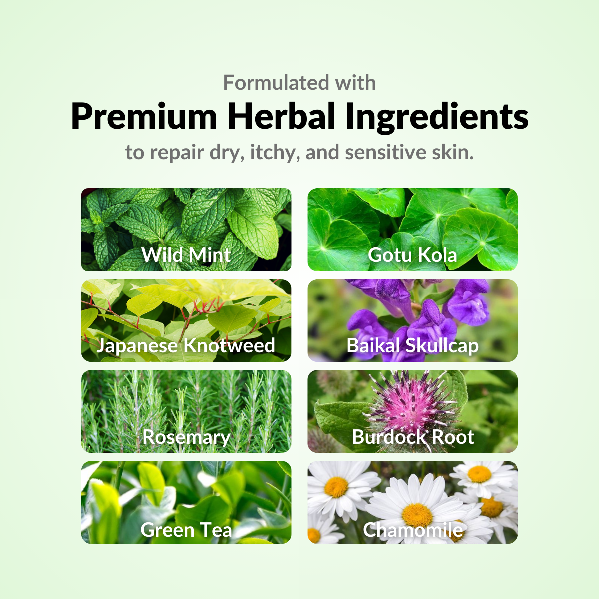 Jolicare Essential Repair Set - Herbal Repair For Dry Itchy and ...