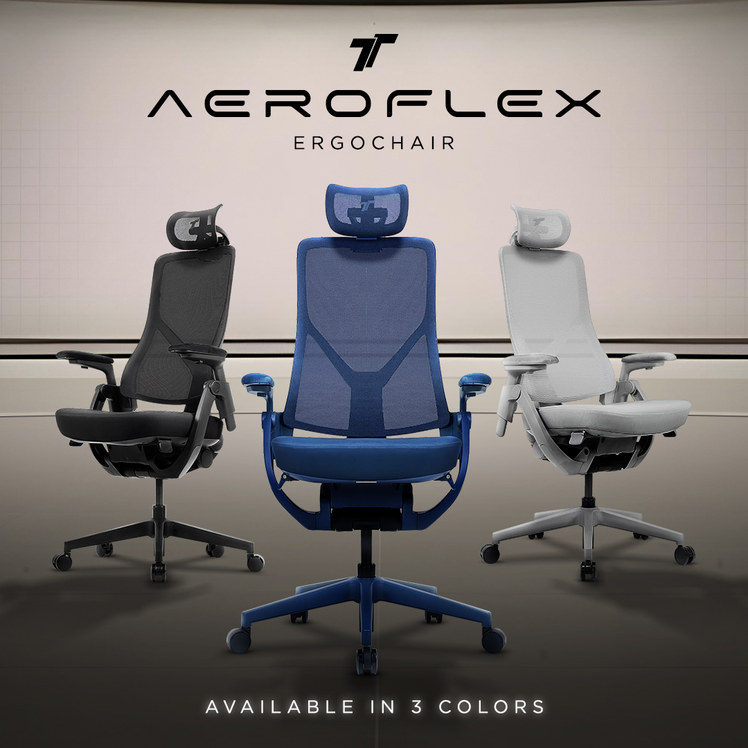 TT AEROFLEX Ergochair Mesh Office Chair Ergonomic Chair Kerusi Pejabat ...