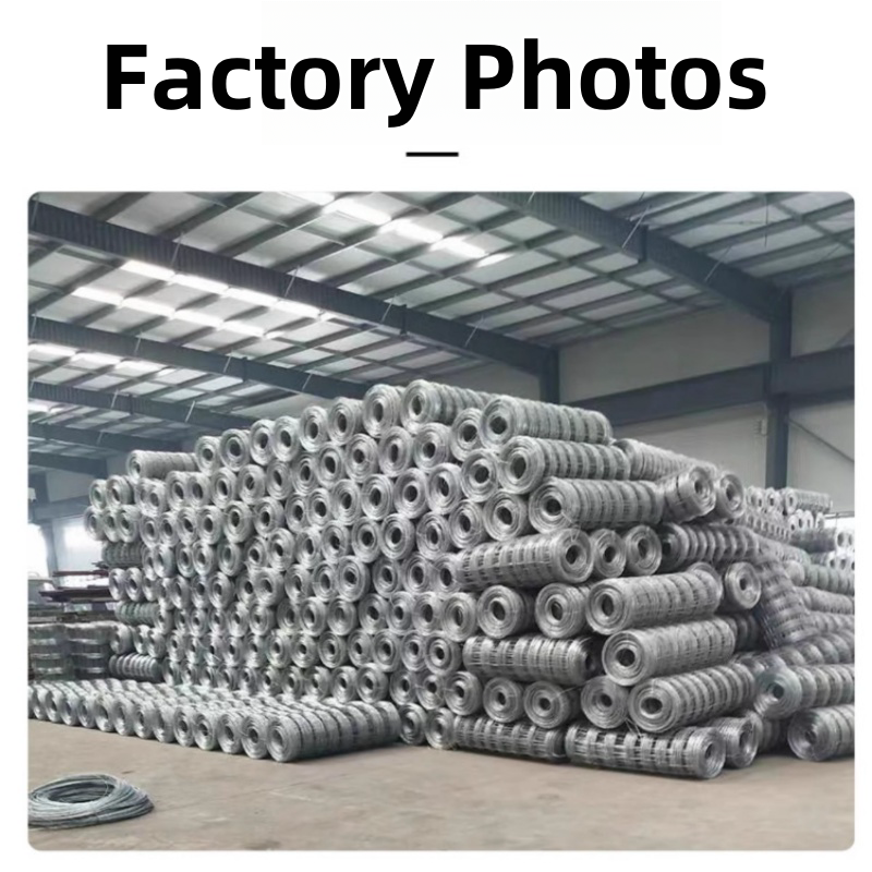 Pagar Lembu/3.3/4/5/6 Kaki Pagar Cyclone/Pagar Chain Link/Cyclone Fence ...