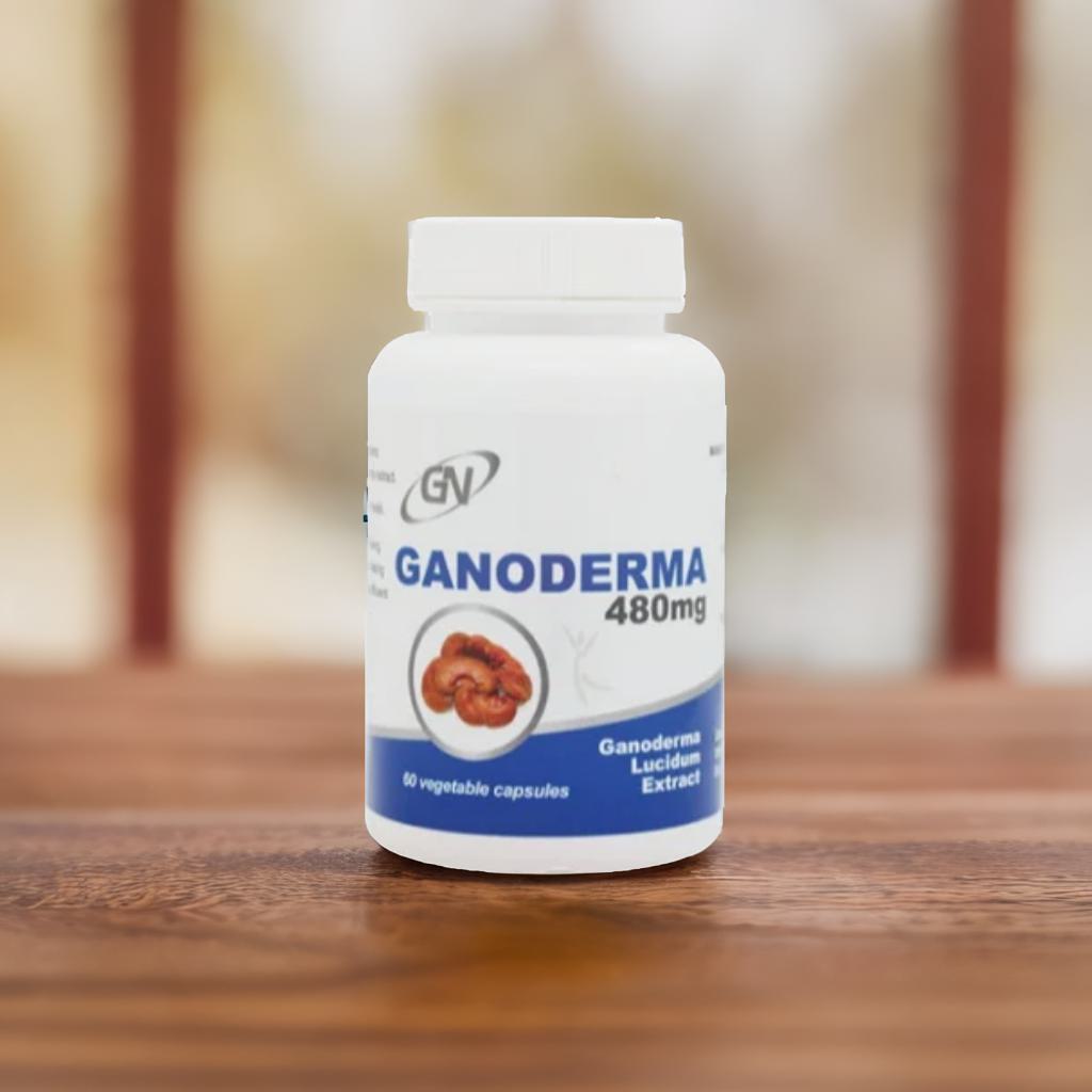 GN Ganoderma Lucidum Cendawan Lingzhi (60 vegetable capsules) Reishi ...