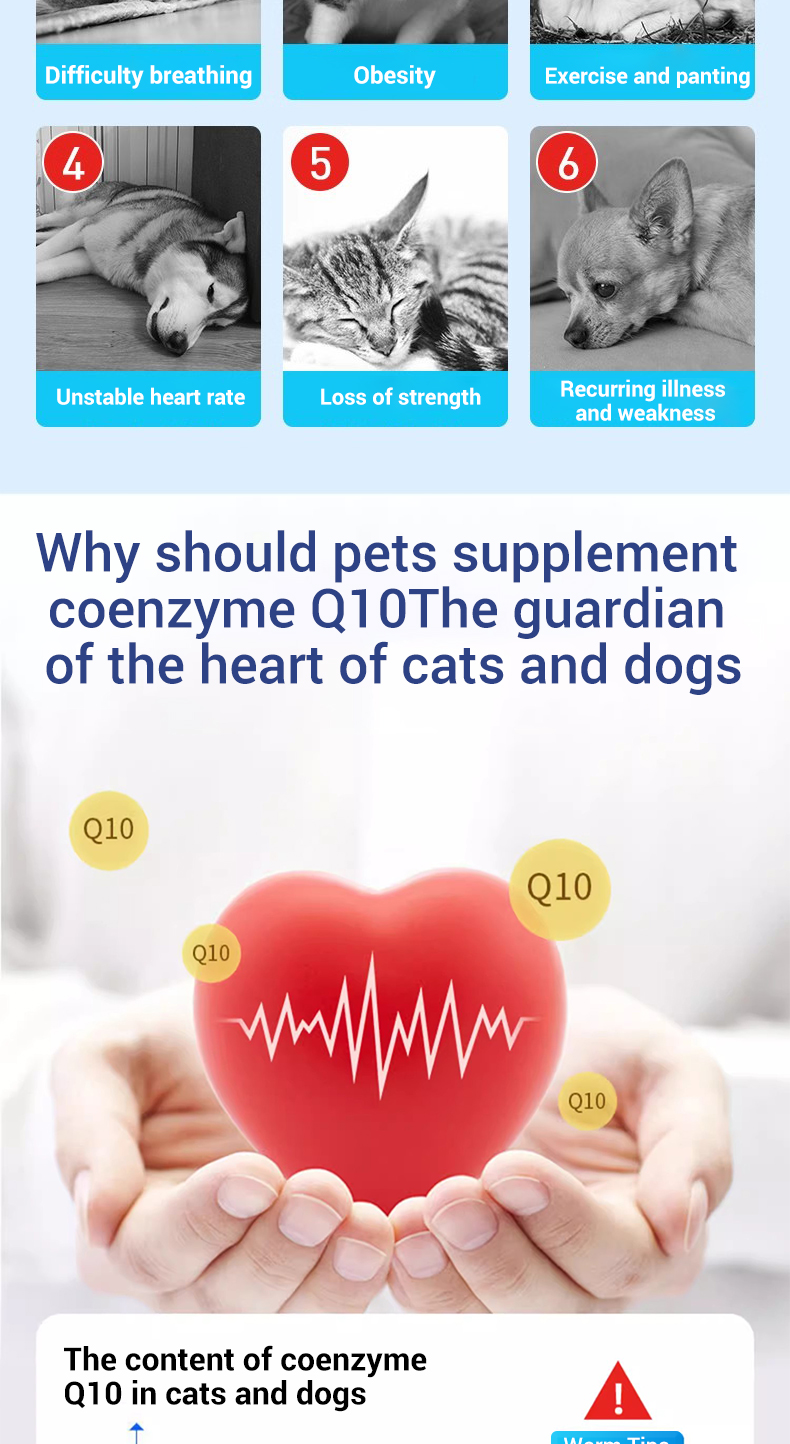 Petclear Pet Coenzyme Q10 (300 tablets) for Cats and Dogs to Protect ...