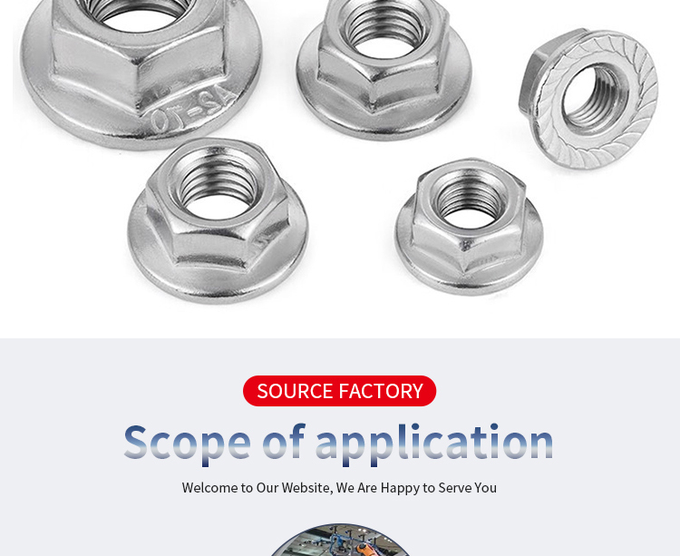 Flange Nut 304 Stainless Steel M3 M4 M5 M6 M8 M10 M12 DIN6923 Hexagon Hex Nut | Shopee Malaysia