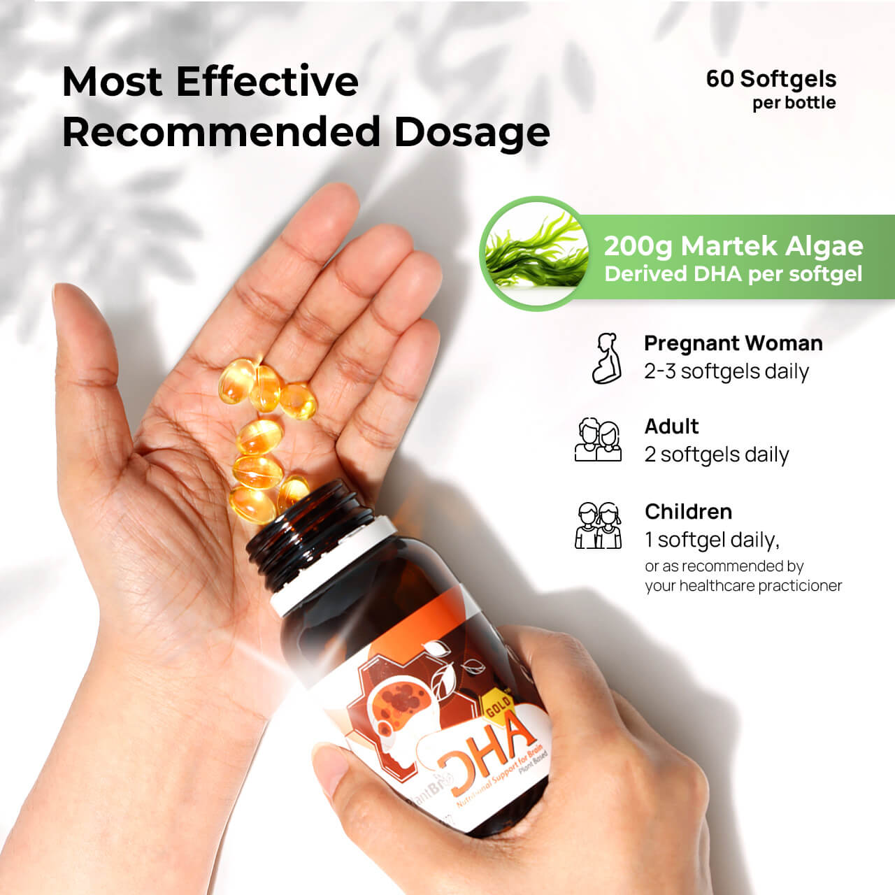 PlantBio DHA Gold - 100% Vegetarian Algae-derived DHA for Brain ...