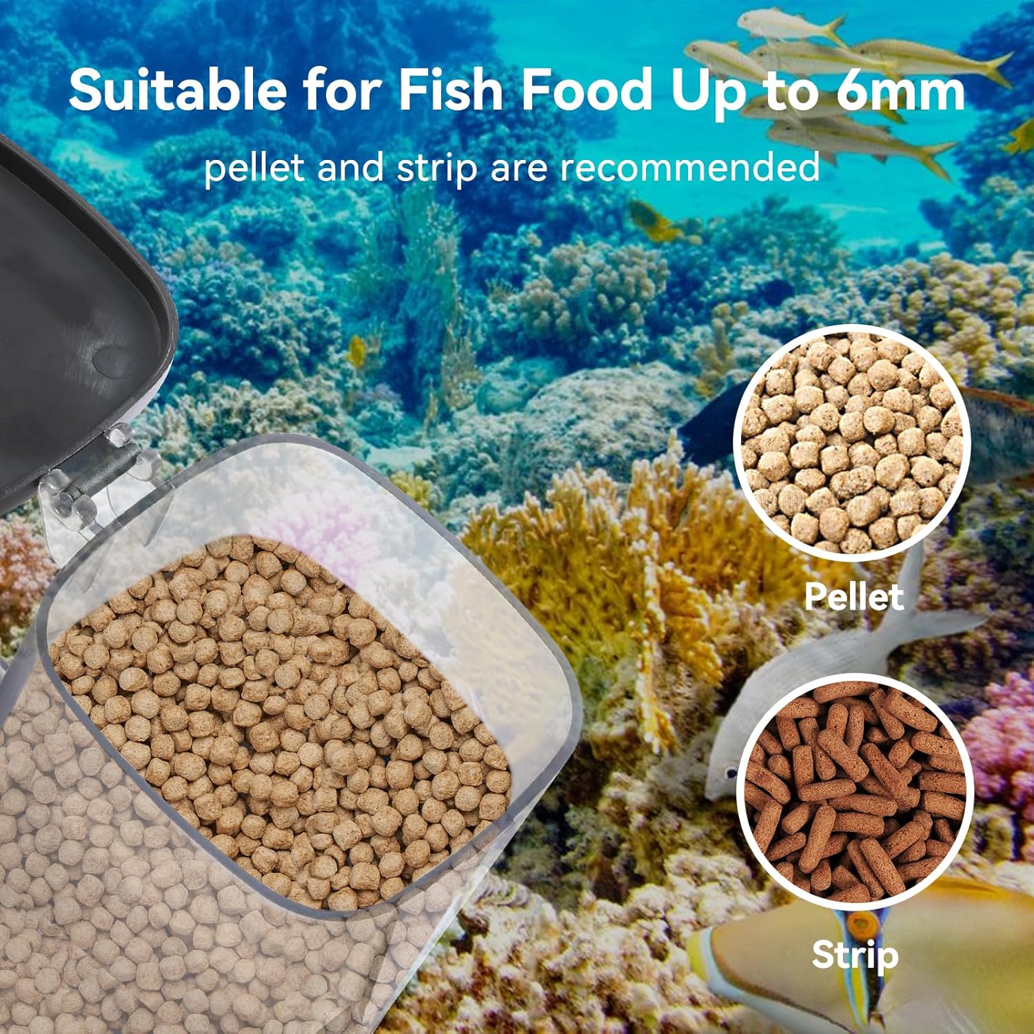 500ML Automatic Fish Feeder Fish Tank Feeder Intelligent Timing Feeder ...