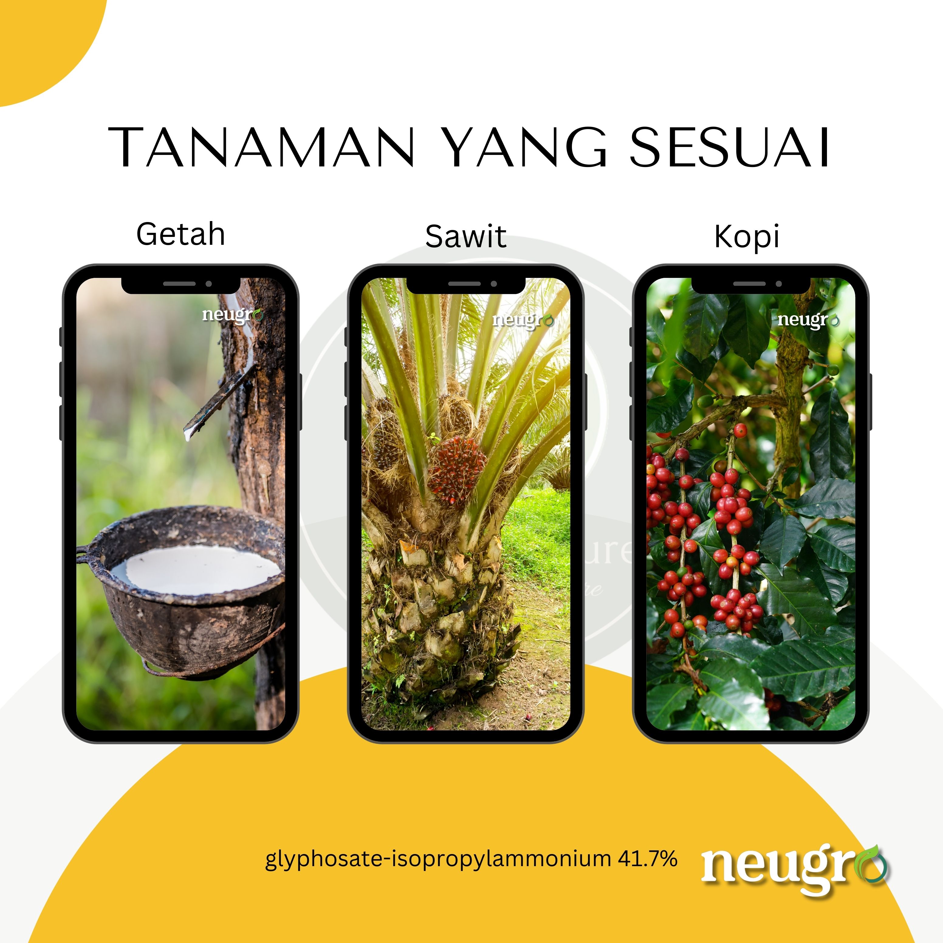 Kenso BALASS (1L/4L) Glyphosate-Isopropylammonium 41.0% Racun Rumput ...