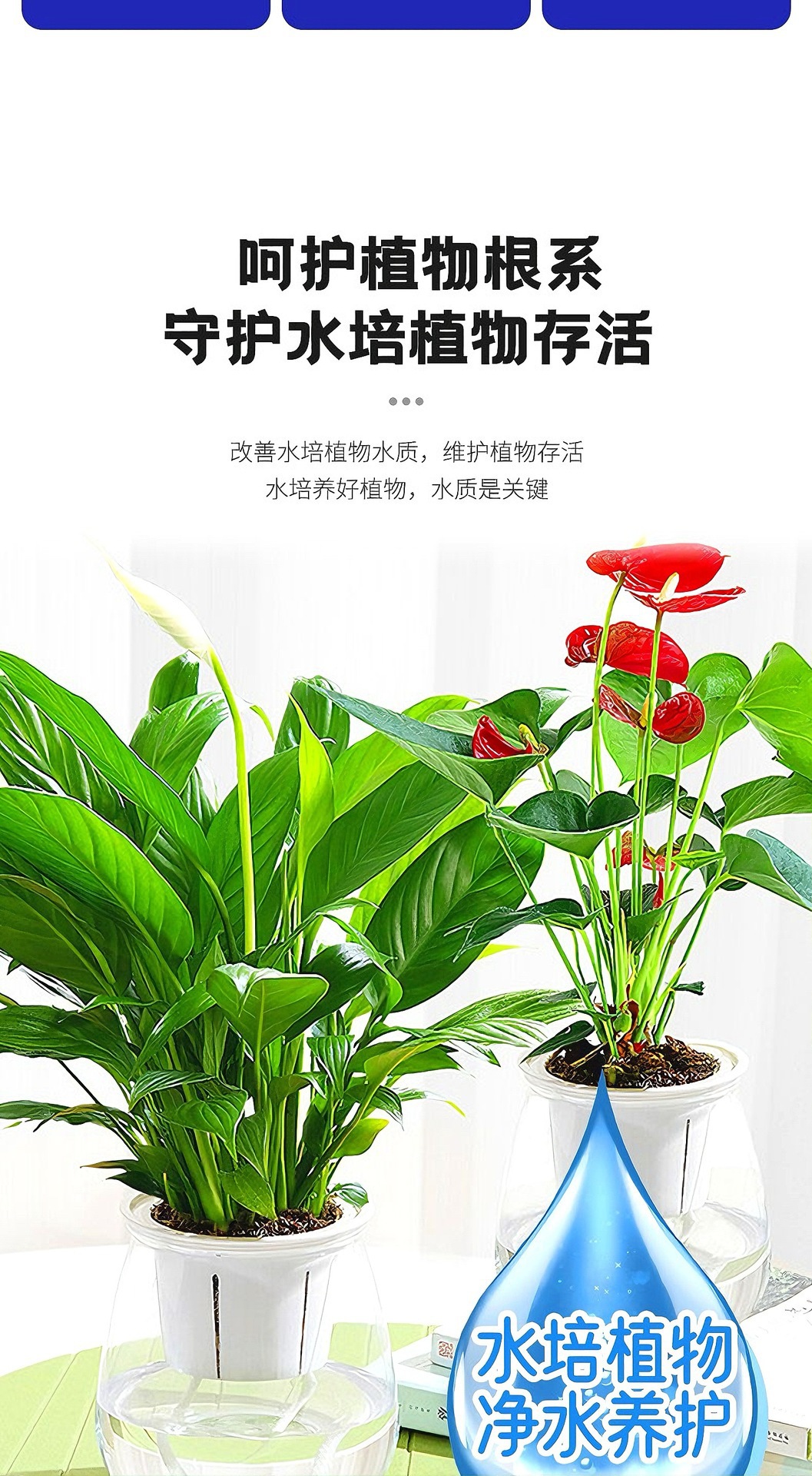 植物净水保鲜片｜水培净化 消毒抑菌 Plant Purifying Tablets – Water Cleaner & Freshness ...