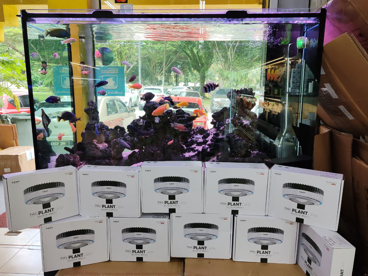 Netlea Aquatime AT600 Pendant wRGB LED Light 60W – App & Touch Control ...