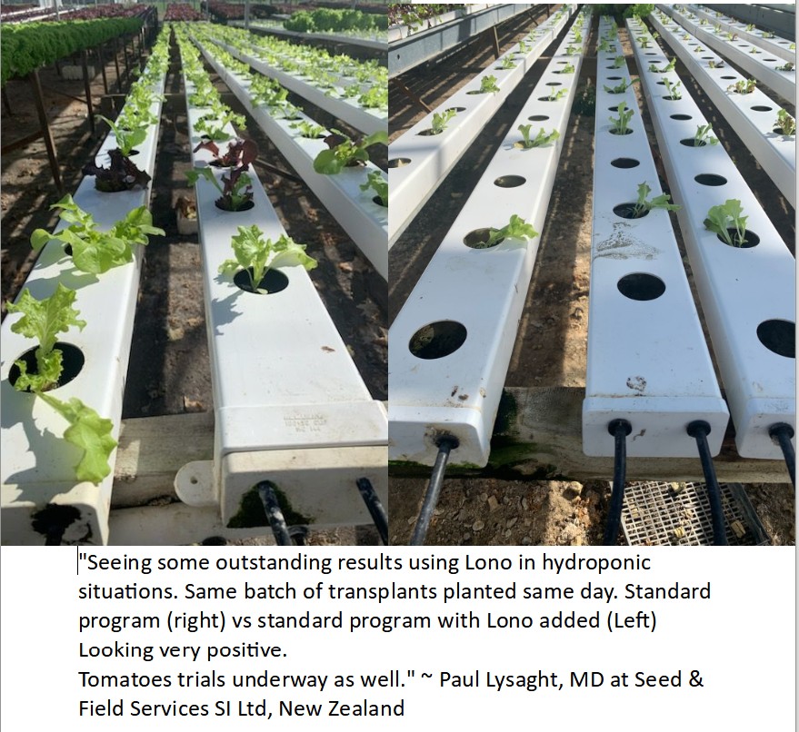 Levity Crop Science Lono K 5 Liters (NPK Fertilizer 15:0:7, Stabilized ...
