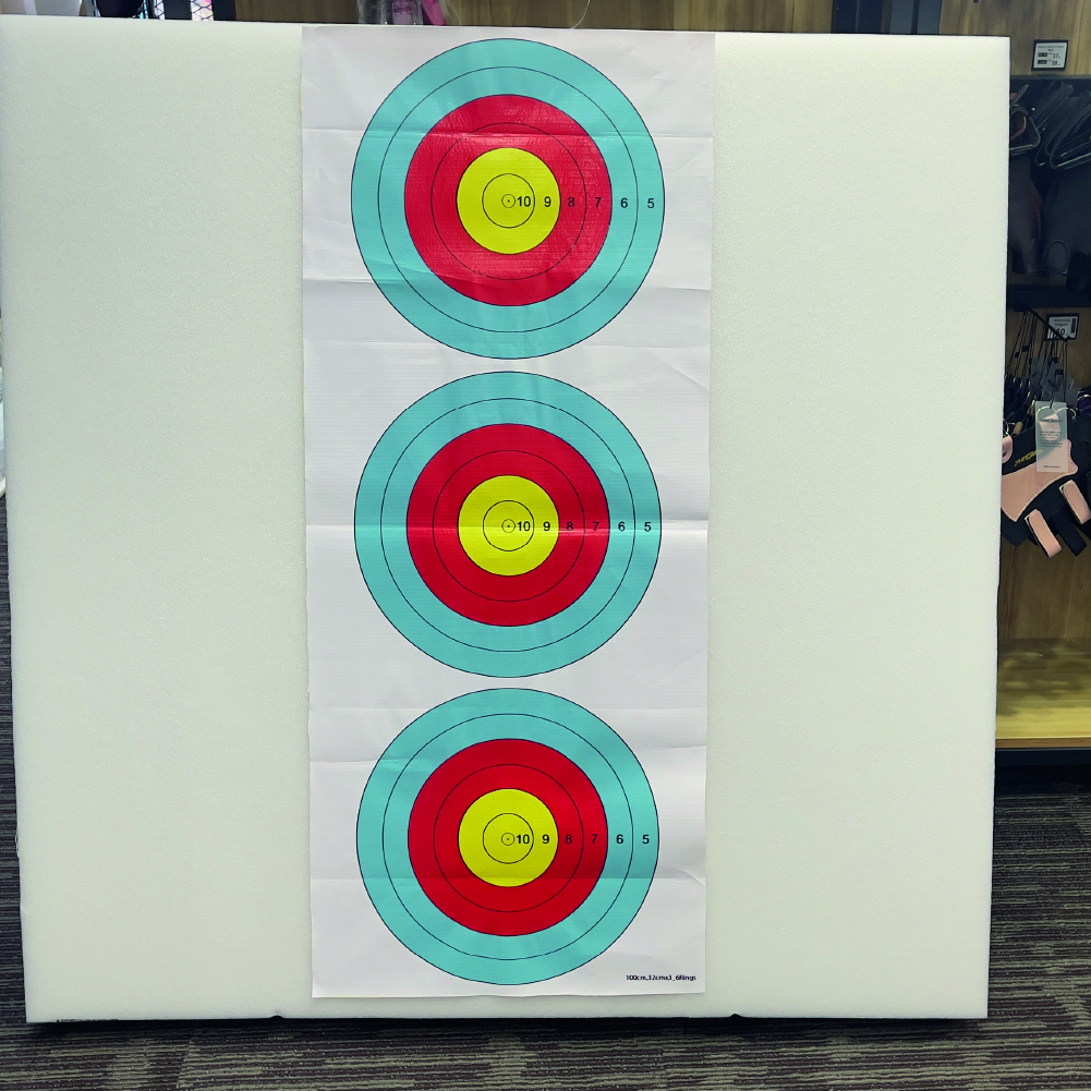 Target 3 Spots Traffic Light for 60cm 80cm and 100cm Target Board ...