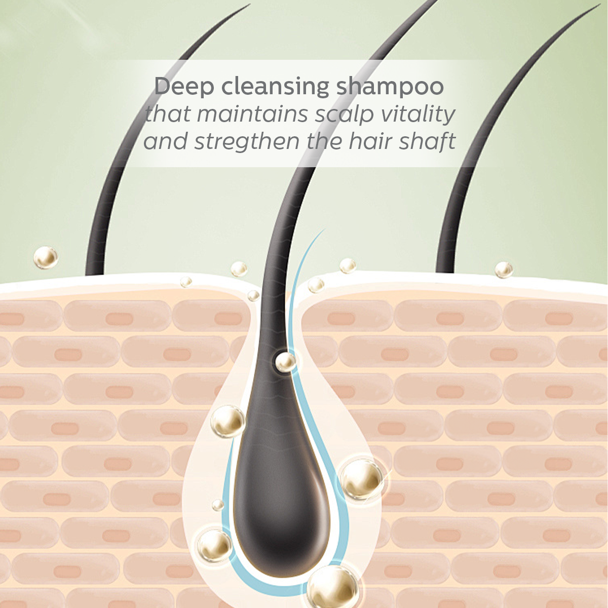 SH501 Hair Reawakening Shampoo (200ML/3000ML)(Hair Care Shampoo) | Shopee Malaysia