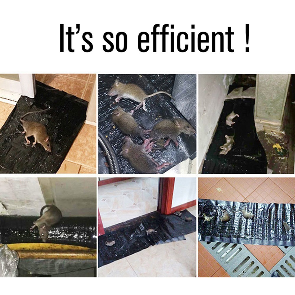 🎁BUY 10 FREE 1🎁Gam tikus Big Sticky Mice Glue Trap High Effective Mouse ...