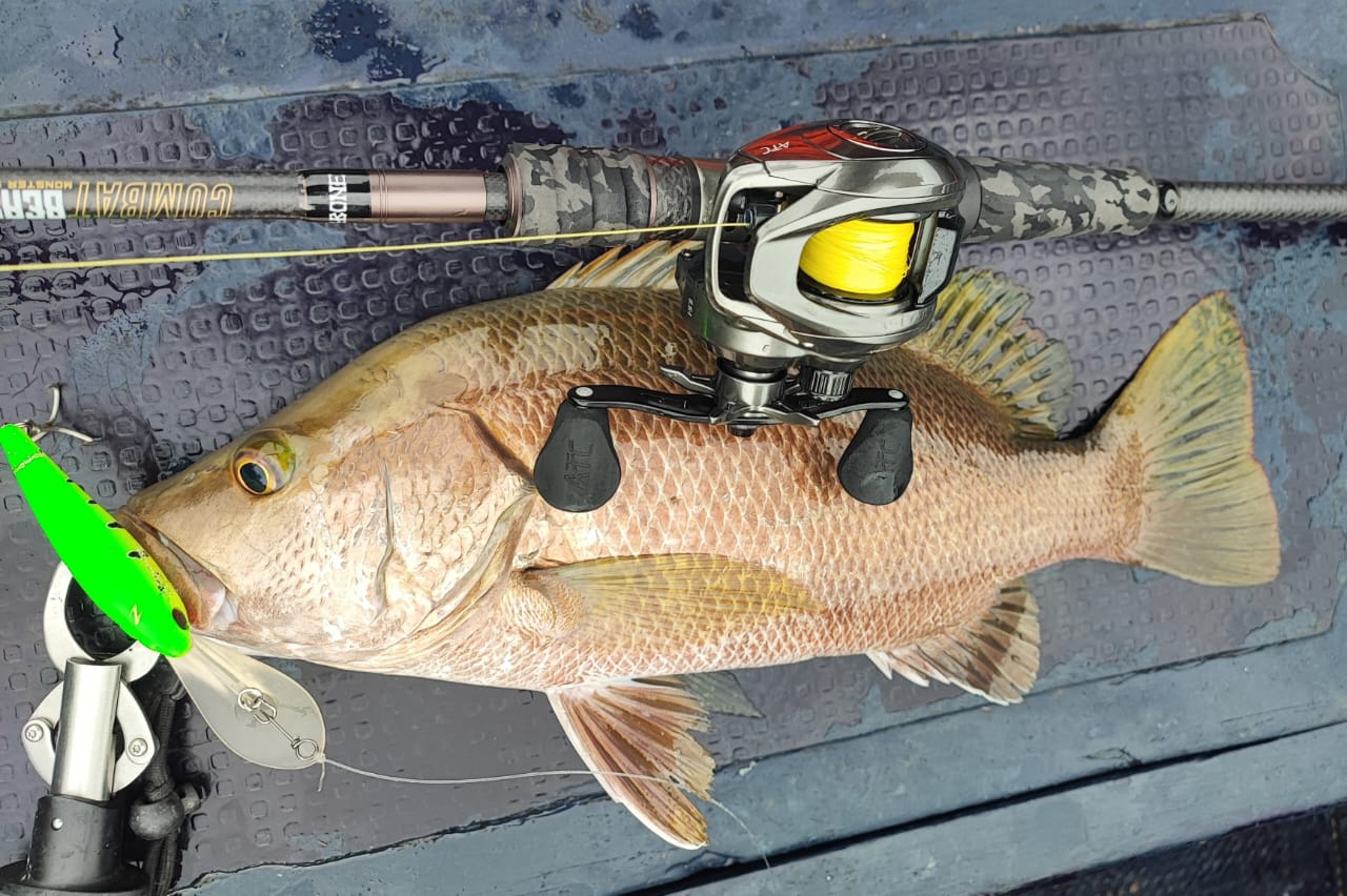 BONE COMBAT BEAST 4PC TRAVEL ROD | Shopee Malaysia