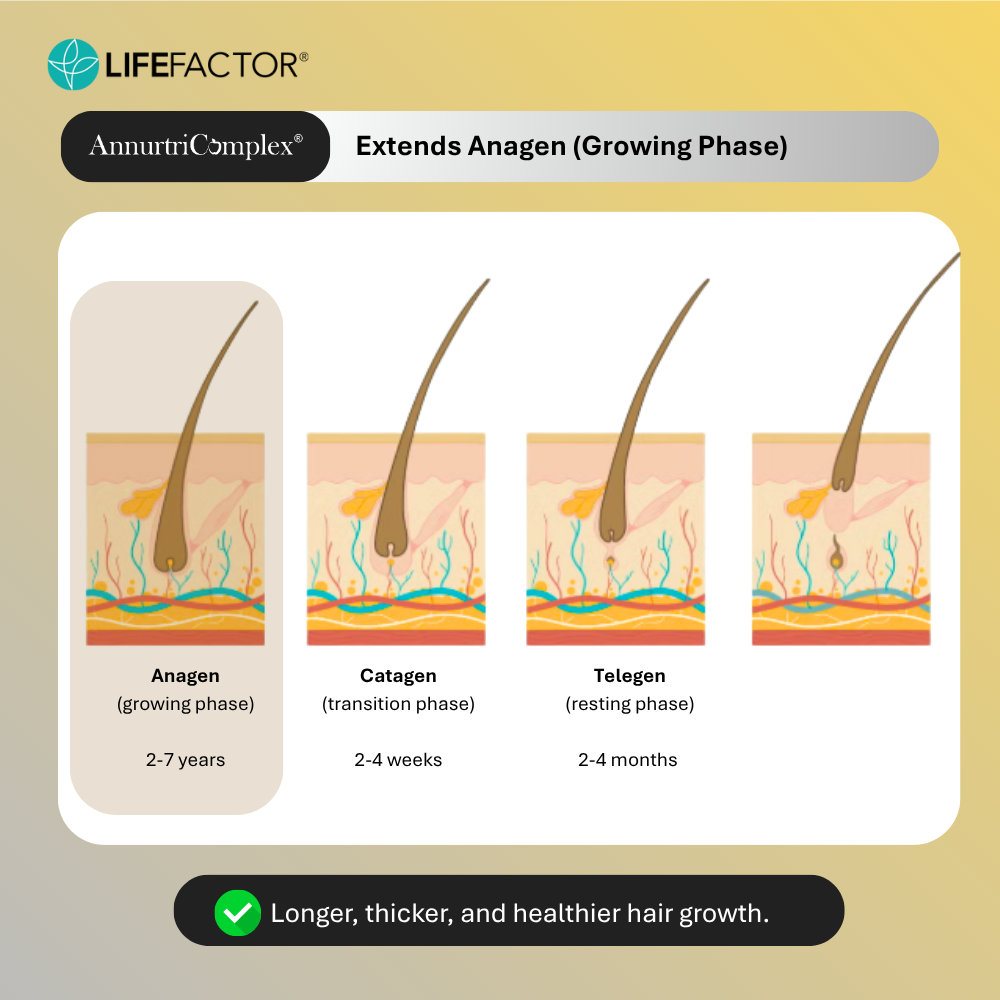 Life Factor Halixer For Hair, Scalp, Skin, Hair Fall, Strengthen Hair ...