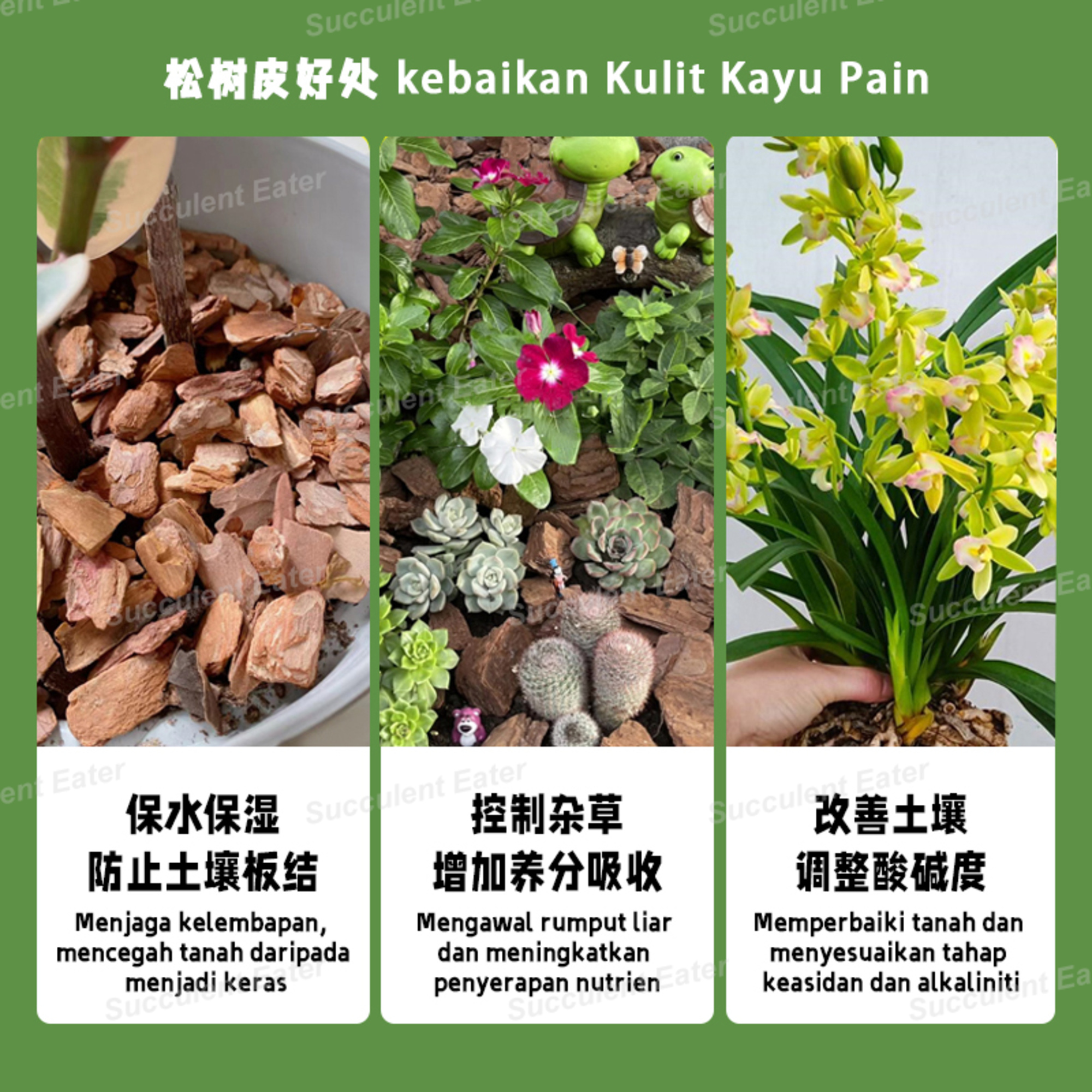 Pine Bark 1 Liter Kulit Kayu Pain Garden Plant Wood Orchid Turtle ...