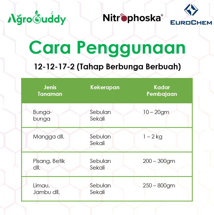 AgroBuddy 1kg Eurochem Nitrophoska 15-15-15 12-12-17-2 Compound | Baja ...