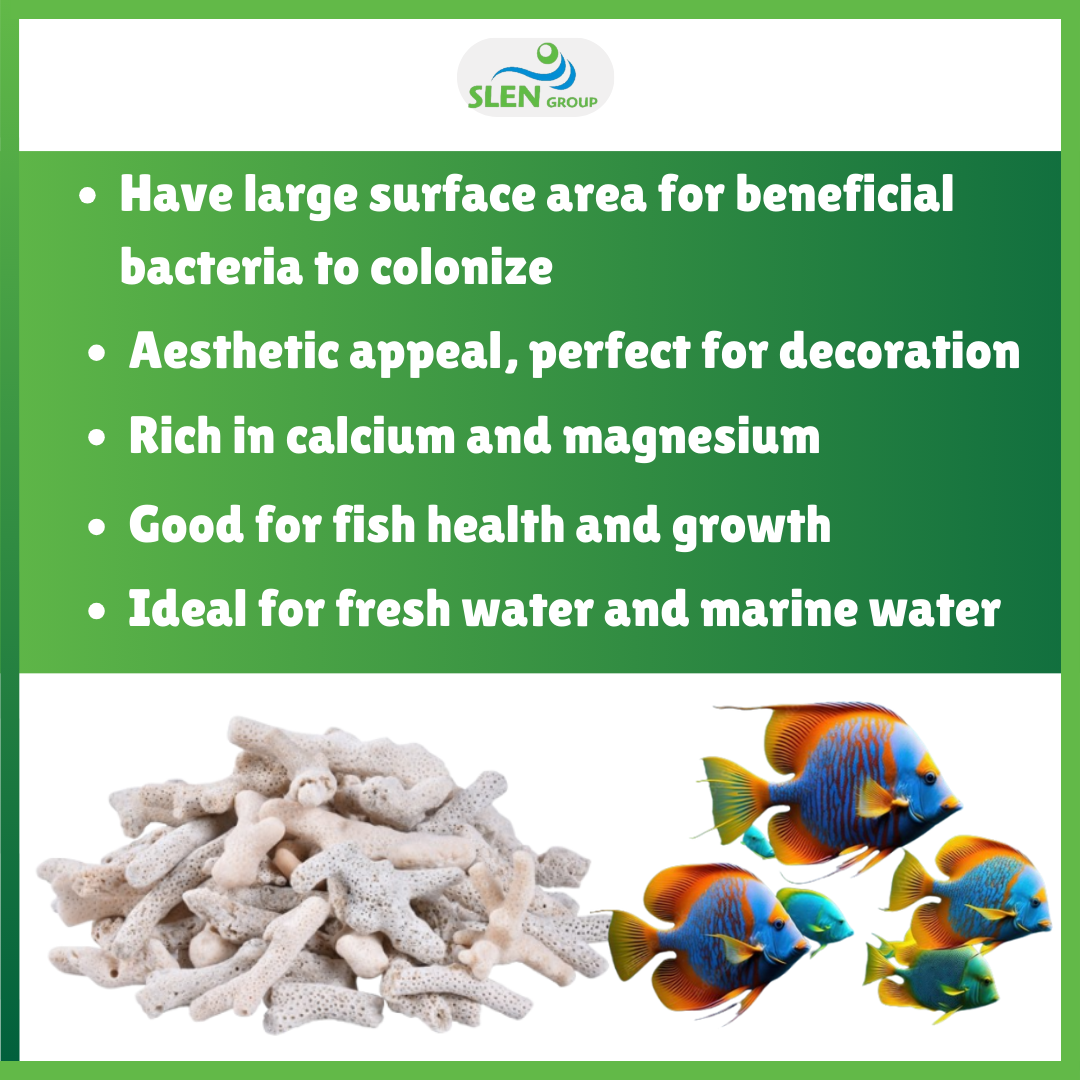 SLEN 2 KG Coral Stone Bio Filter Media Aquarium Coral Bone Stone ...