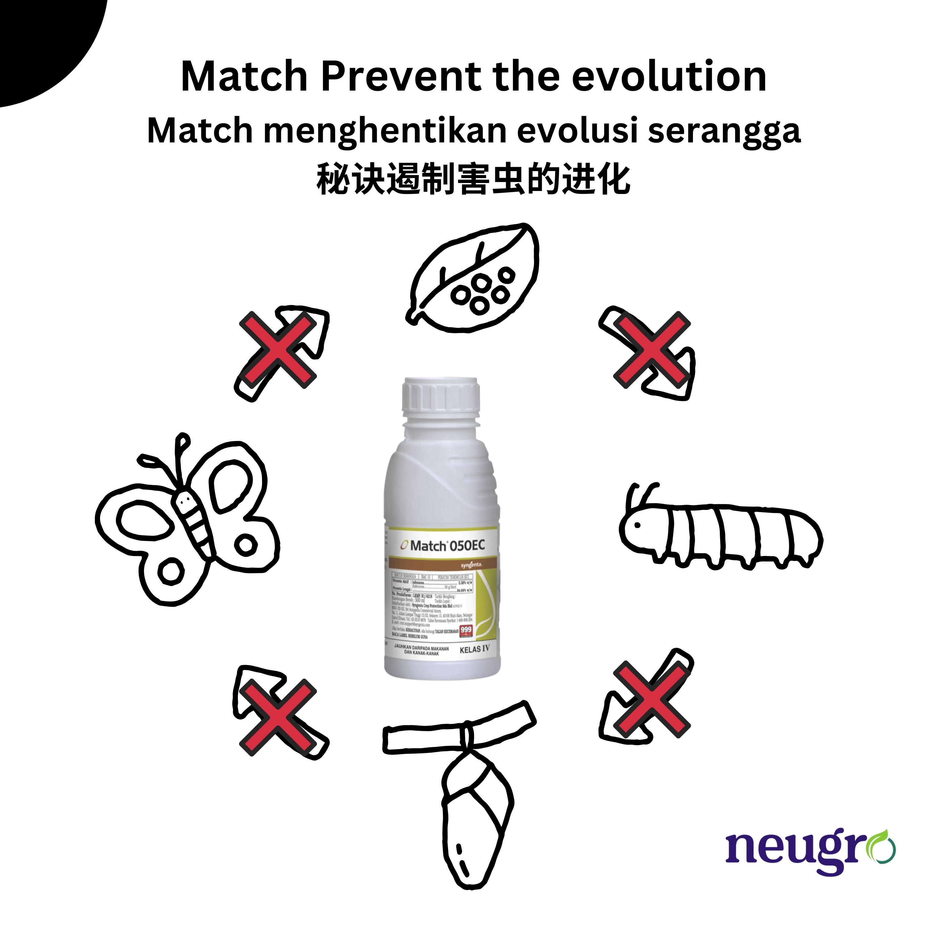 Syngenta Match 050EC (500ml) Lufenuron 5.36% Insecticide - Racun ...