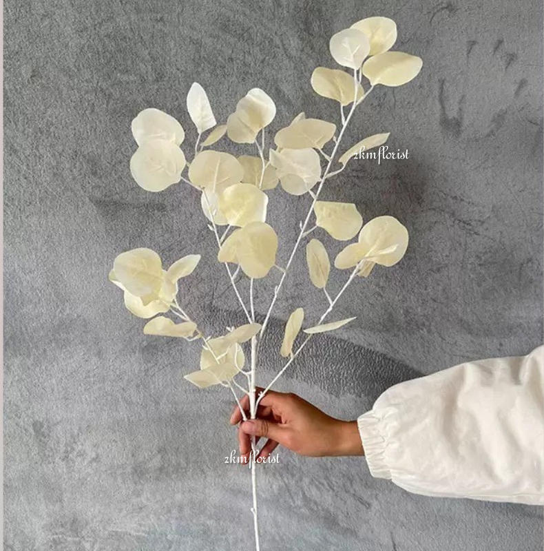 (30FLOWERS) SILVER DOLLAR ARTIFICIAL Buah Daun Hiasan Eucalyptus Leaf ...
