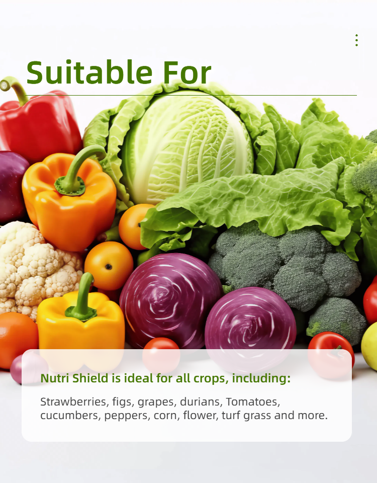 AGROSTAR Nutri Shield Protect And Enhance Your Plants From Fungal And ...