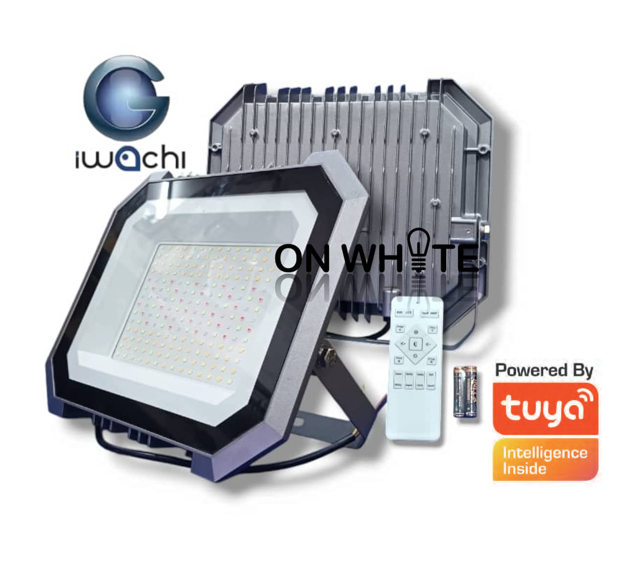 IWACHI LED SMART FLOOD LIGHT 100W RGB COLOR 6500K/4000K/3000K FULL ...