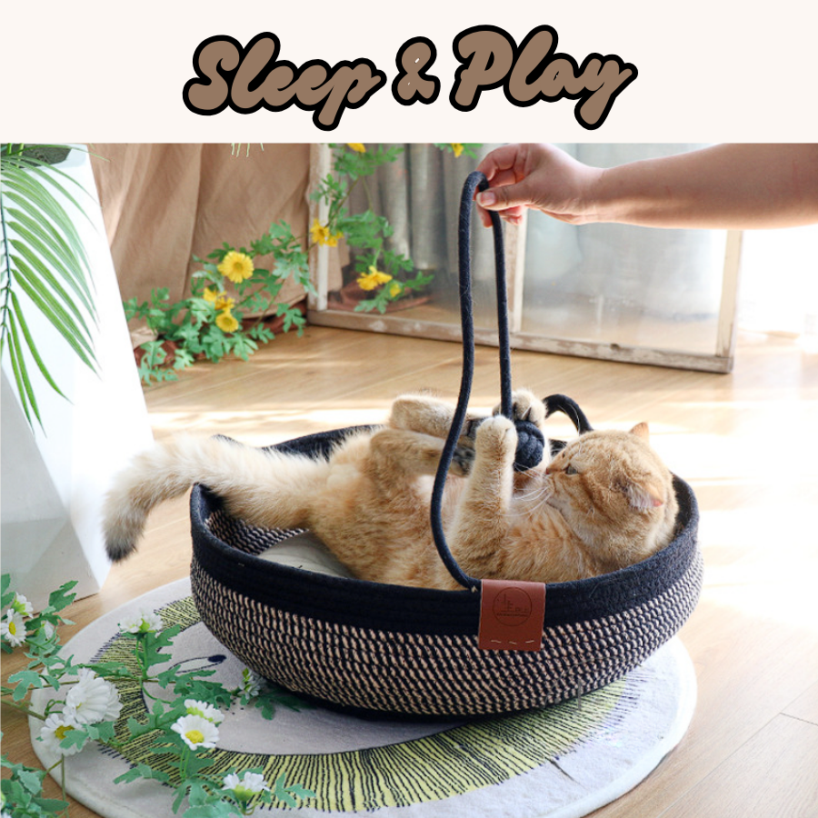 Cat Scratcher Basket Bed Papan Scratching Cakar Kucing Cat Bed Pet ...