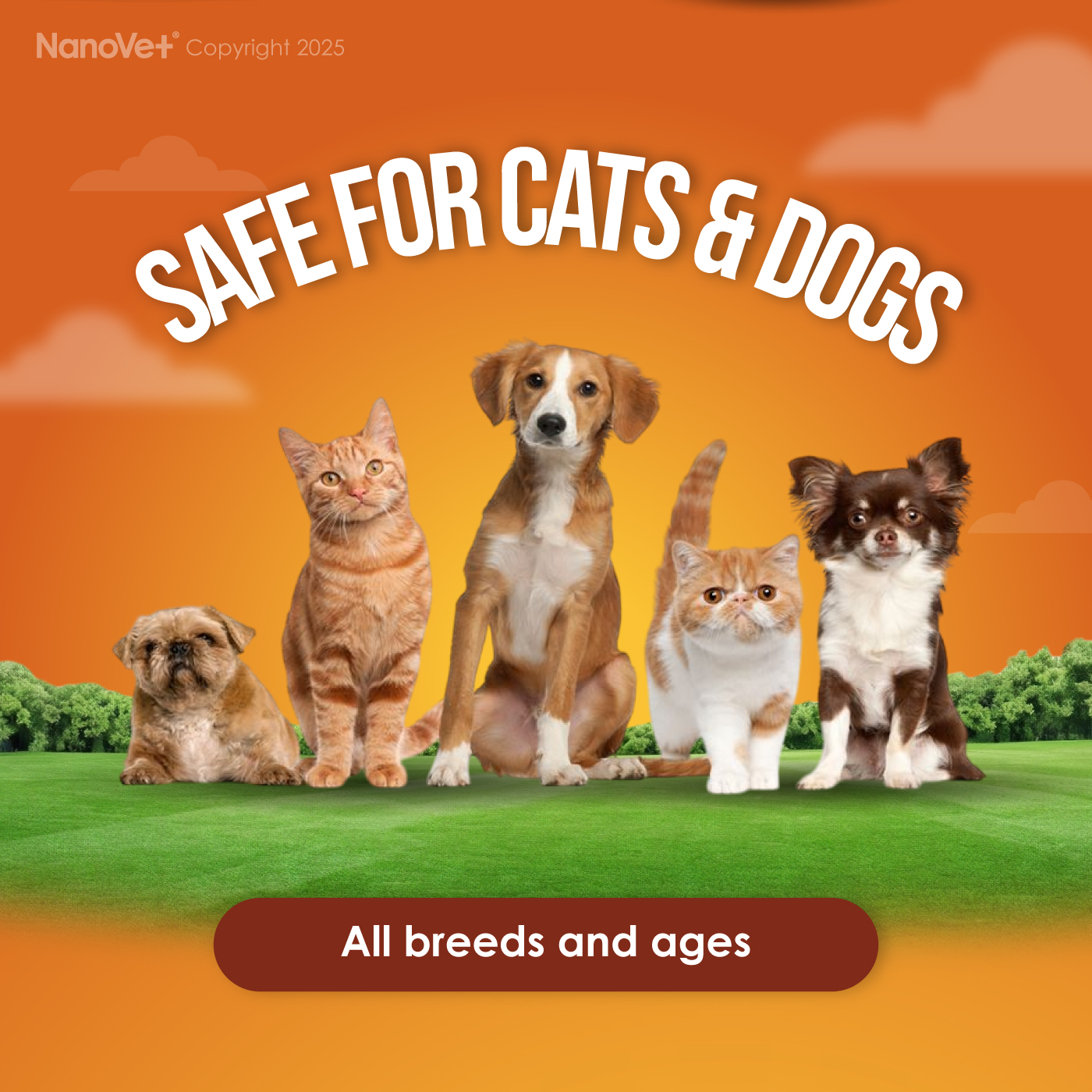 Nanovet® Pet Ear Cleaner Solution for Cat and Dog (150ml) | Shopee Malaysia