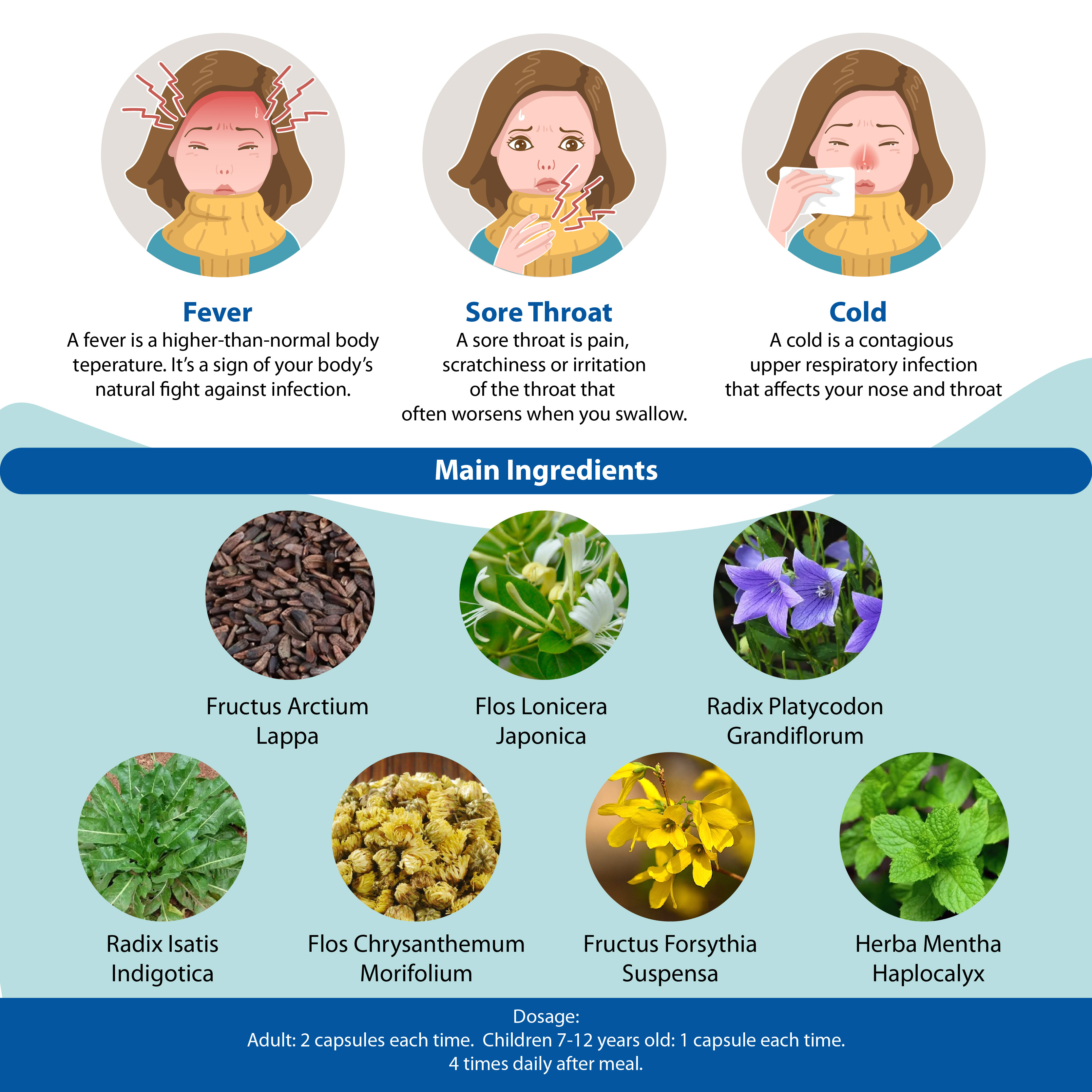 HURIX'S 900 Flucold Capsule Improved - Selesema - Demam - Panas Badan ...