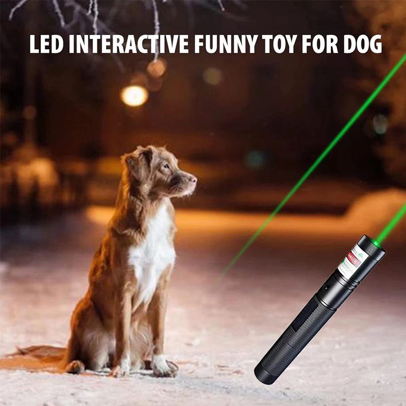 WIDETALENT Green Laser Pointer Laser Pen Rechargeable Visible Beam ...