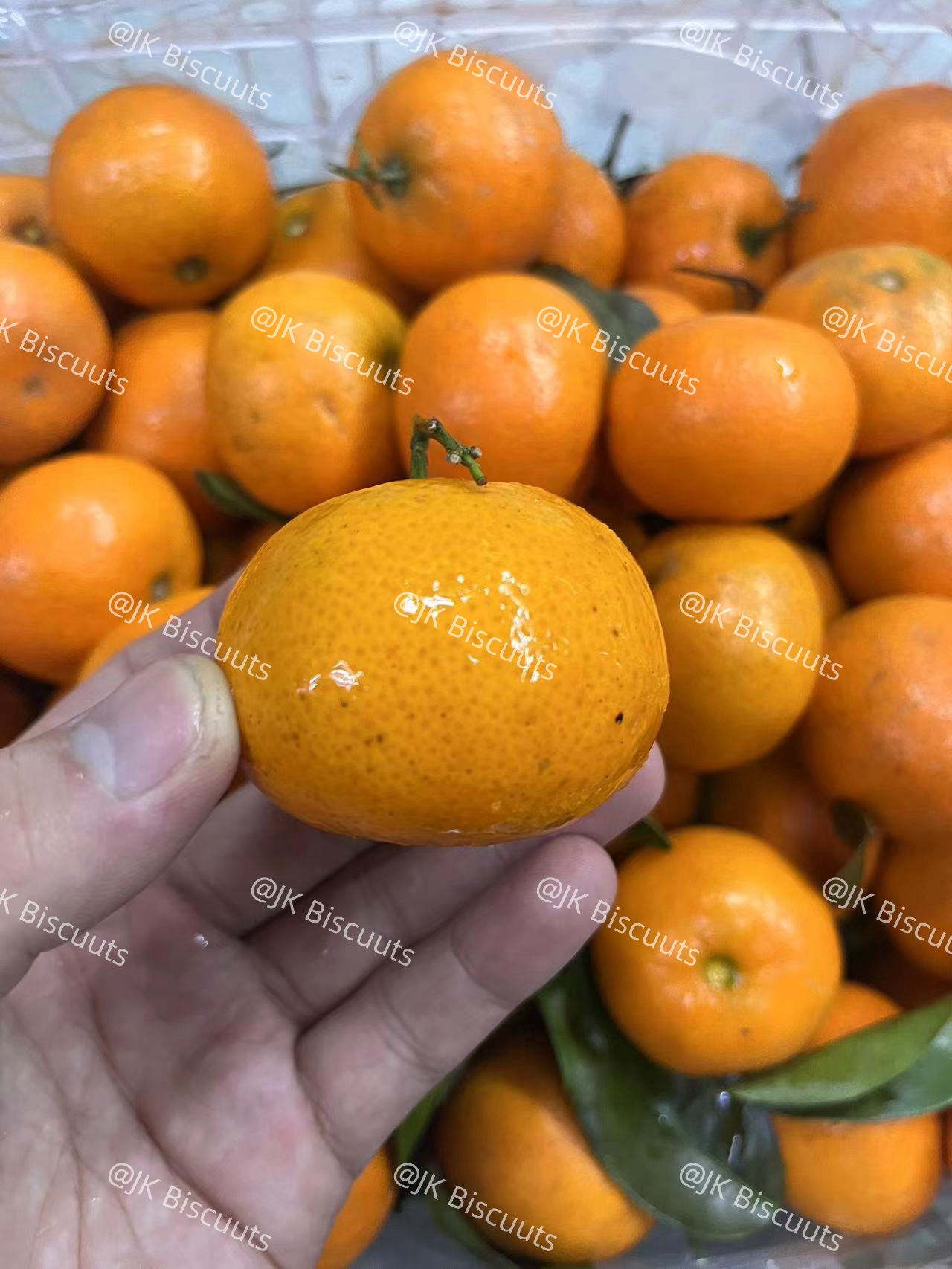 Limau Madu Baby Fresh & Manis manis siki masam；鲜甜 蜜柑 👍👍👍,JK Biscuits ...