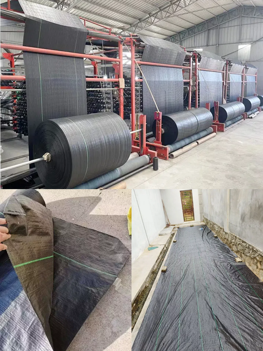 90GSM/100GSM 5m-200m Hijau/Hitam Weedmat Penutup Tanah Weed Mat Heavy ...