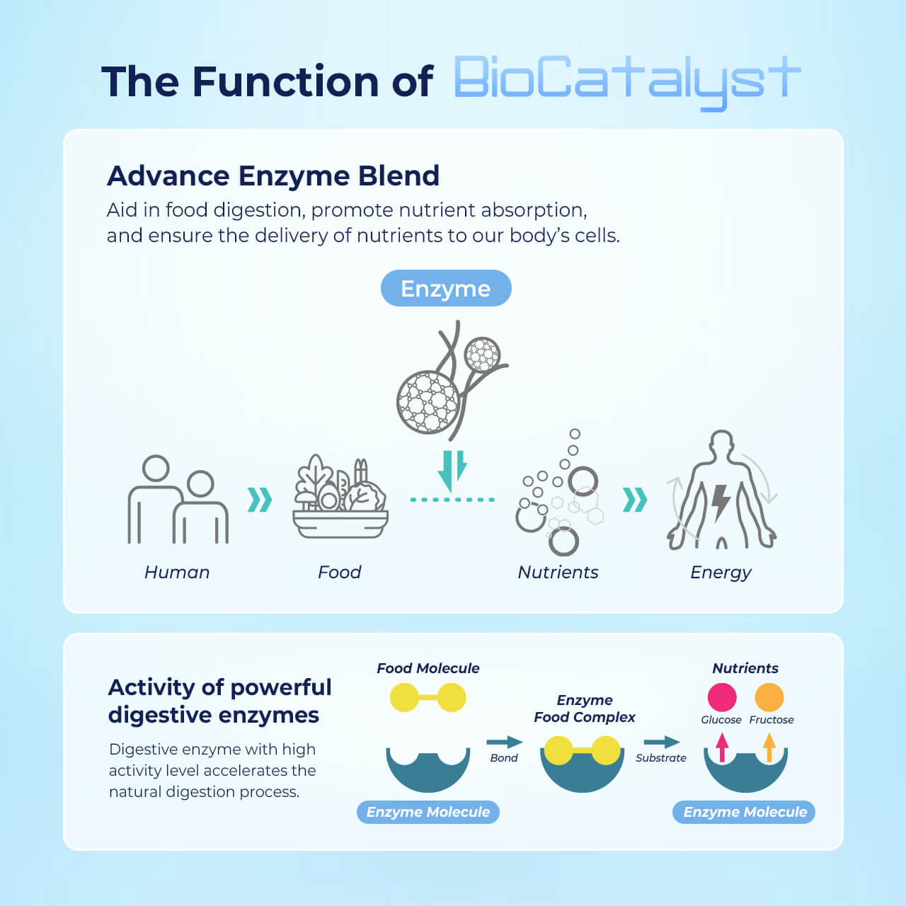 Therabio BioCatalyst - Fruit Vege Digestive Enzyme | Detox Diet Enzyme ...