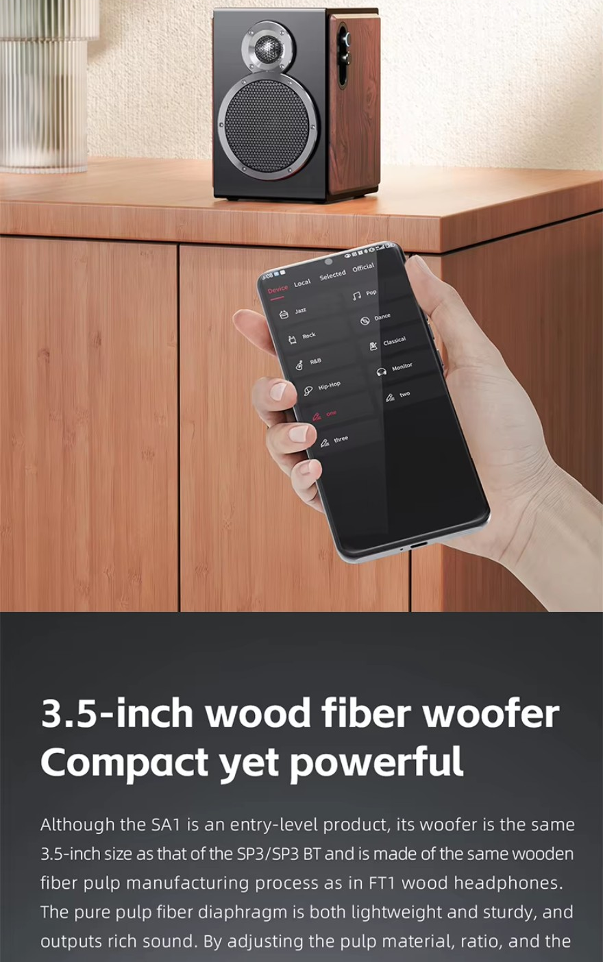 FiiO SA1, High-Fidelity Desktop Active Speaker: with 31 high-precision ...