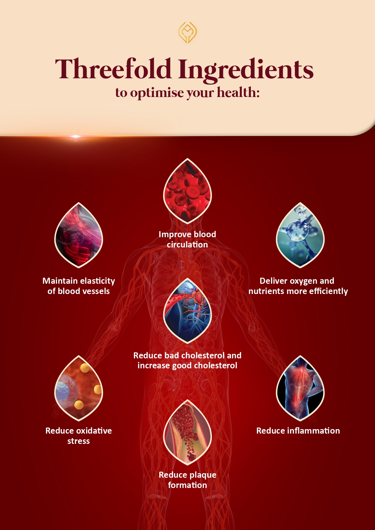 Afyaa Sahiyya Blood Pressure & Cardiovascular Health Supplement (24 ...