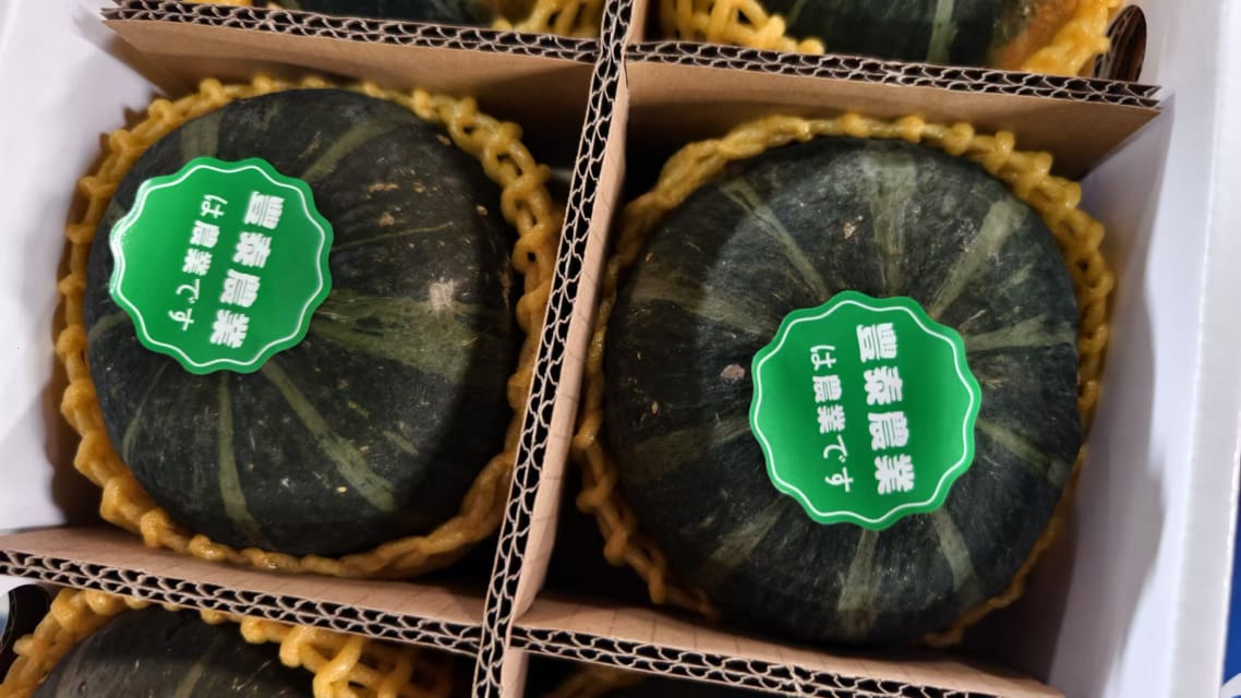 Bei Bei Pumpkin 日本贝贝南瓜 | Shopee Malaysia