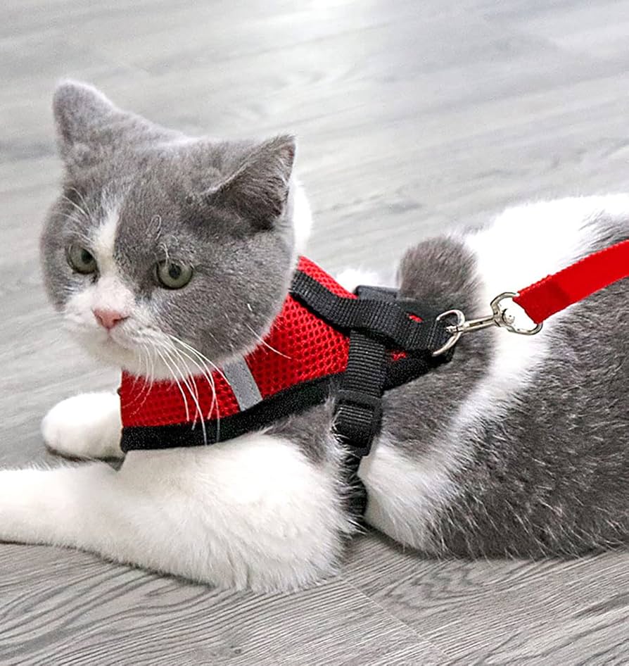 Tali Kucing Berjalan MURAH Pet Harness Lead 】 Cat Dog Vest Rope Cat ...