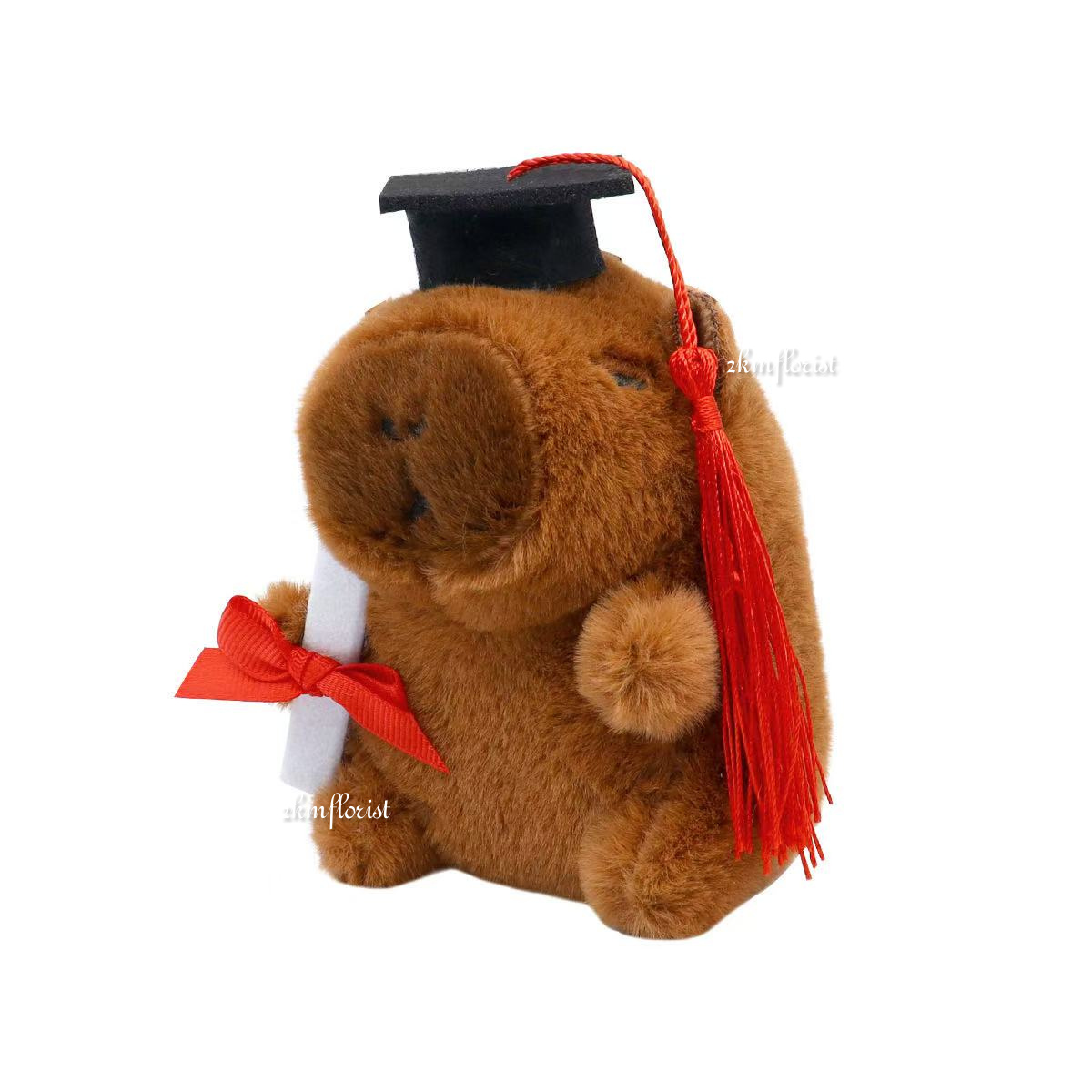 11CM CAPYBARA GRADUATION BEAR Plush Toy Cute Capibara Plushie Toy Anak ...