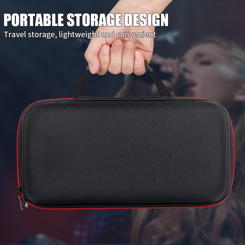RAYHAYES RE-1 Microphone Bag Dual Microphone Storage Box Microphone Box ...
