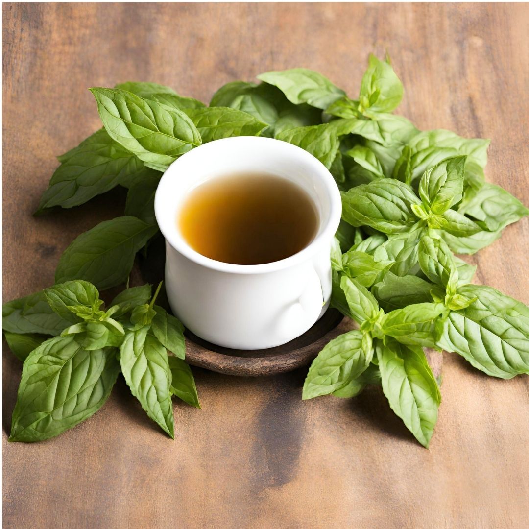 NATURAL TULSI (TULASI, HOLY BASIL) LEAVES POWDER 100 GMS(Serbuk Daun ...