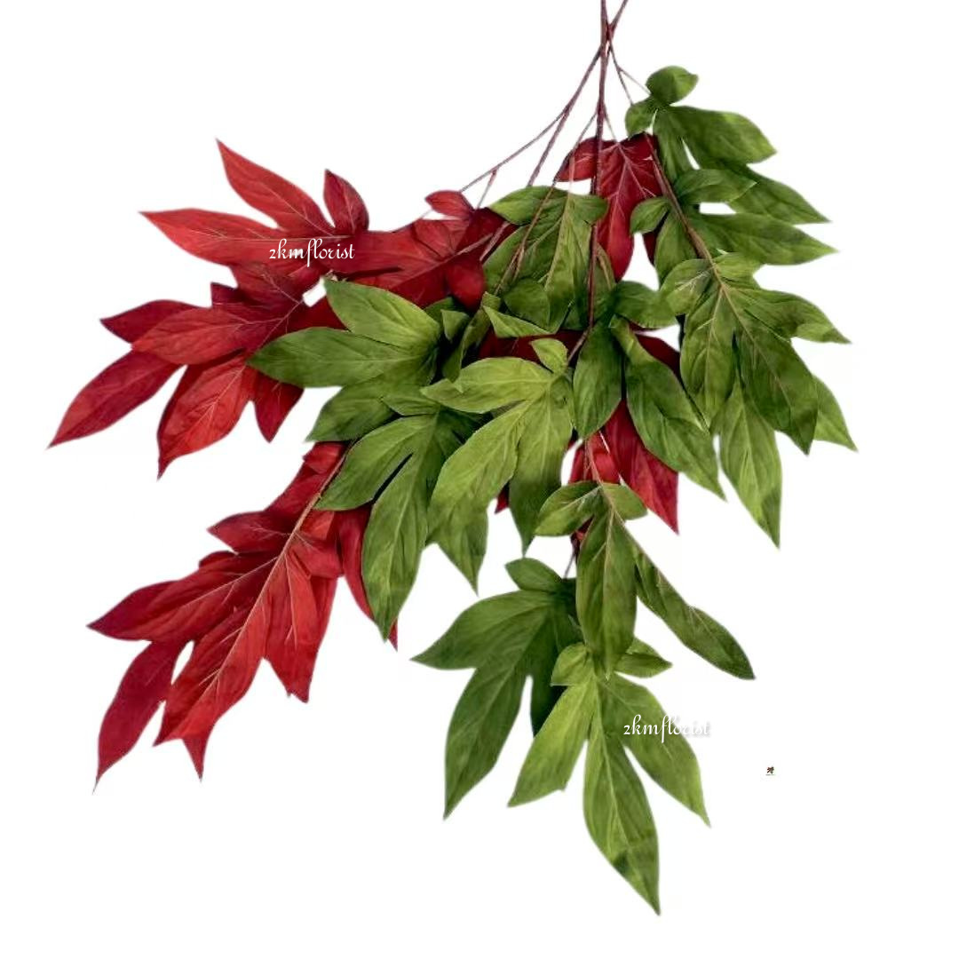 MAPLE LEAF ARTIFICIAL Silver Dollar Daun Eucalyptus Leaf Wedding ...