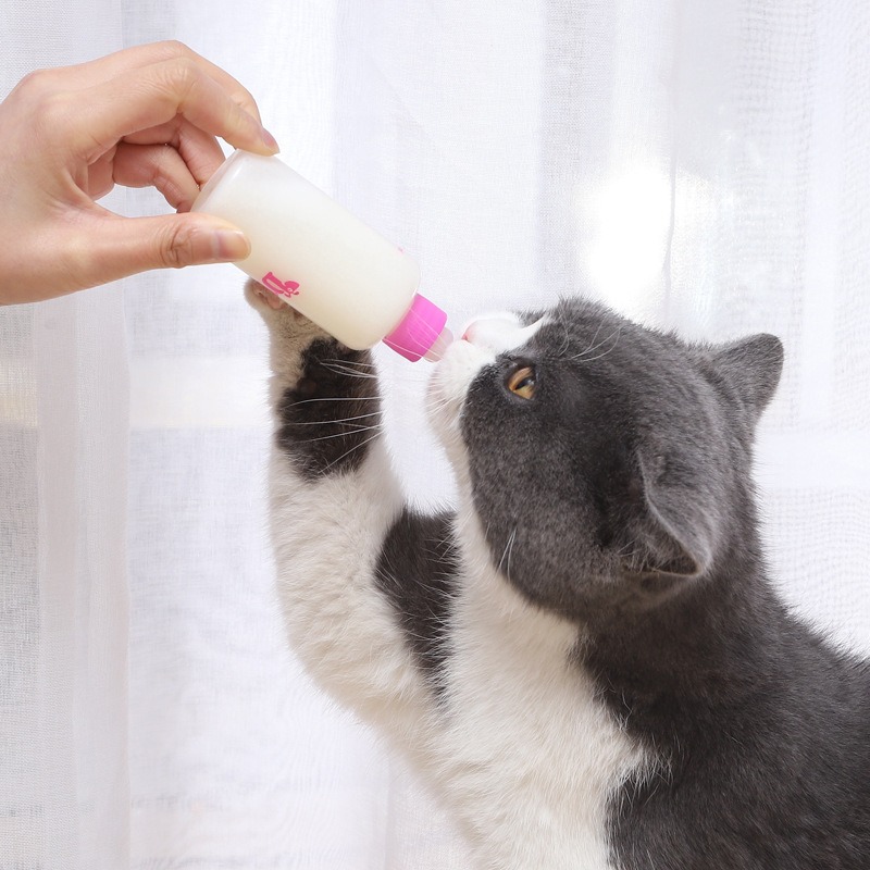[FULL SET]7pcs Puppy Kitten Feeding Bottle Pet Dog Cat Nursing Water ...