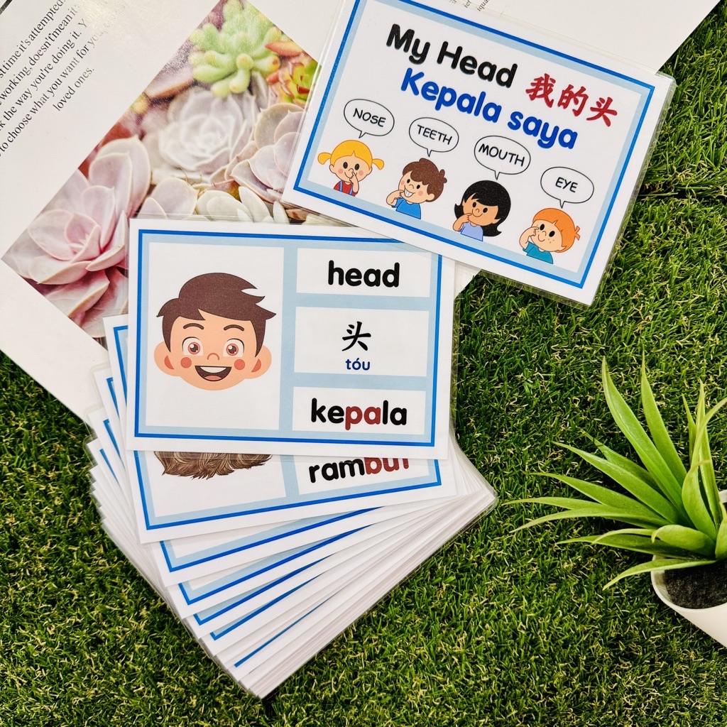 149 English ·Malay·华语 Tri Language Flash Card·3in1 三语识字字卡】三语 华文 英文 马来文 ...