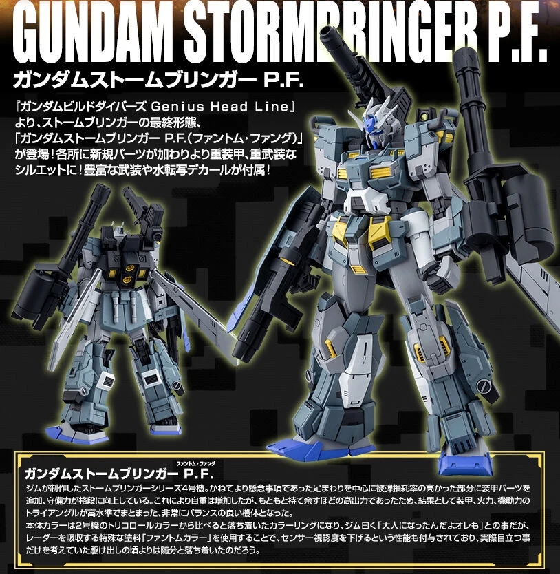 Premium Bandai MG 1/100 Gundam Stormbringer PF Model Kits | Shopee Malaysia