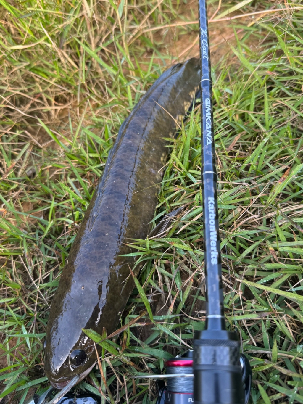 GIMKANA X-Cast ONE PIECE | 1.90m 6’3 | 2-6lb Ultralight Game | Shopee ...