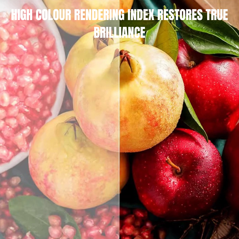 1BOX [30PCS] 20W/10W MAXRENO 4FT T8 6500K DAYLIGHT SIRIM LED TUBE/LAMPU ...