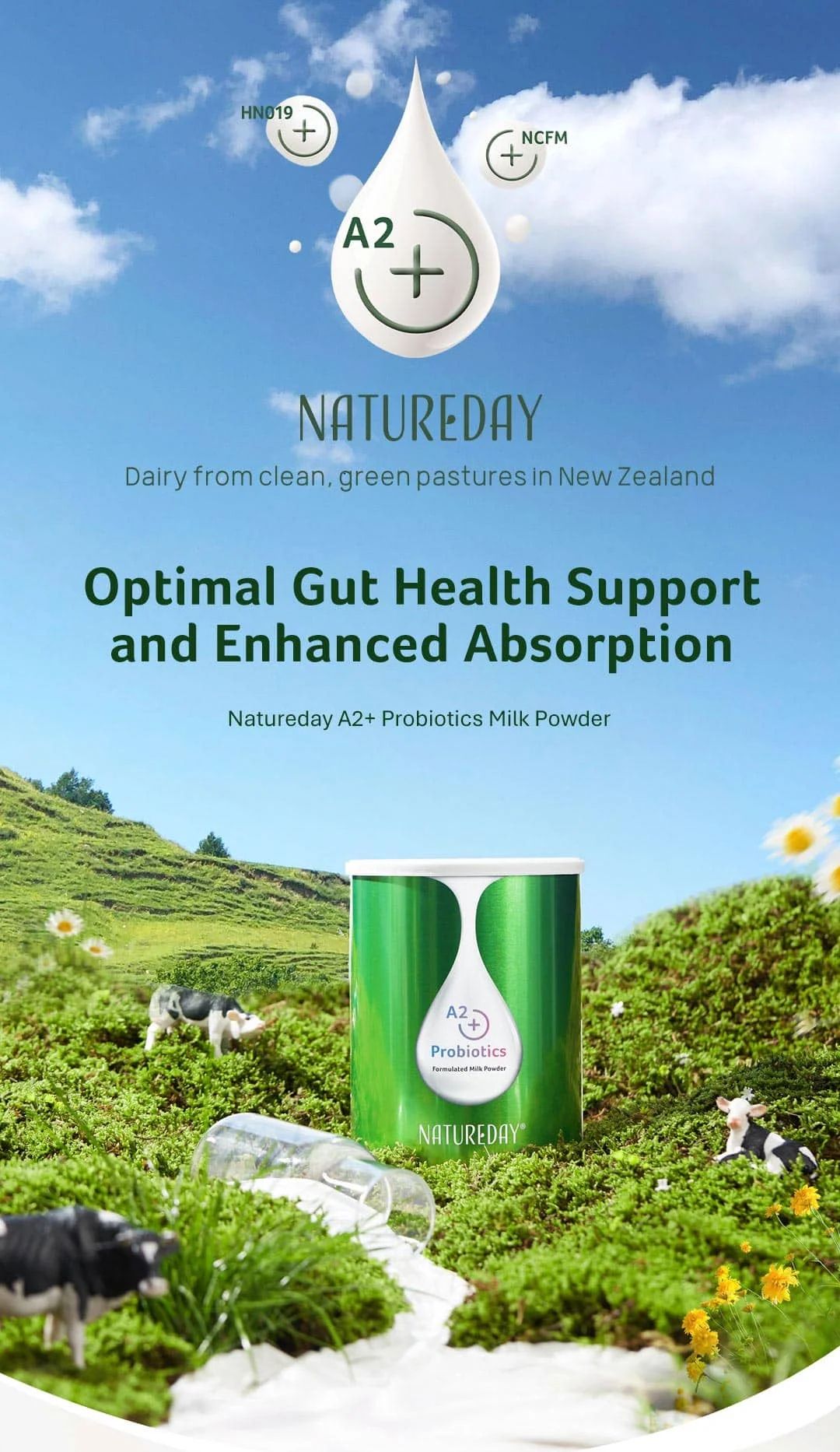 【100% Authentic】 (exp:06/2027) NATUREDAY A2+ Probiotic Milk Powder A2 ...