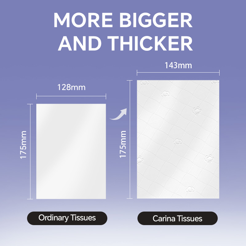 [15 Packs] Carina Wall Hanging Tissue 4-Ply 1000 sheets soft deluxe ...