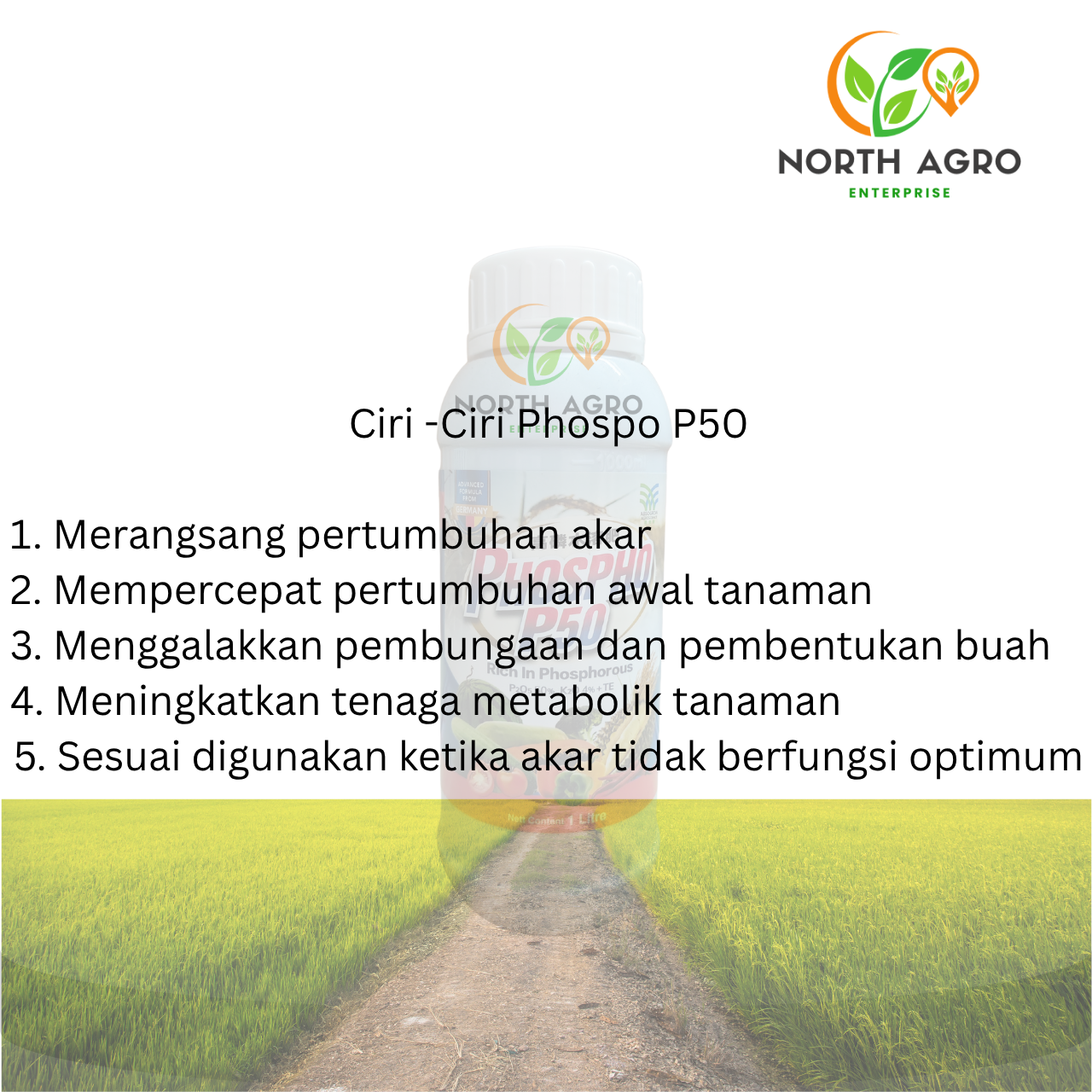 PHOSPO P50 | Baja Foliar Tinggi Fosforus 50% | Kuatkan Akar & Pecah ...
